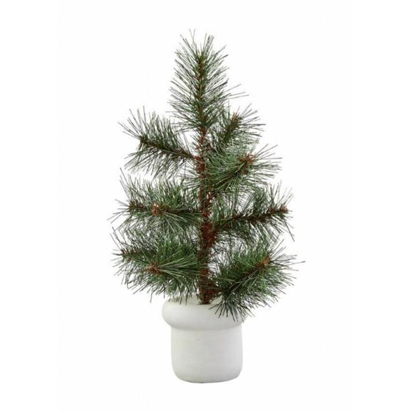 Mud Pie | Holiday | New Mudpie Potted Pine Trees In White | Poshmark